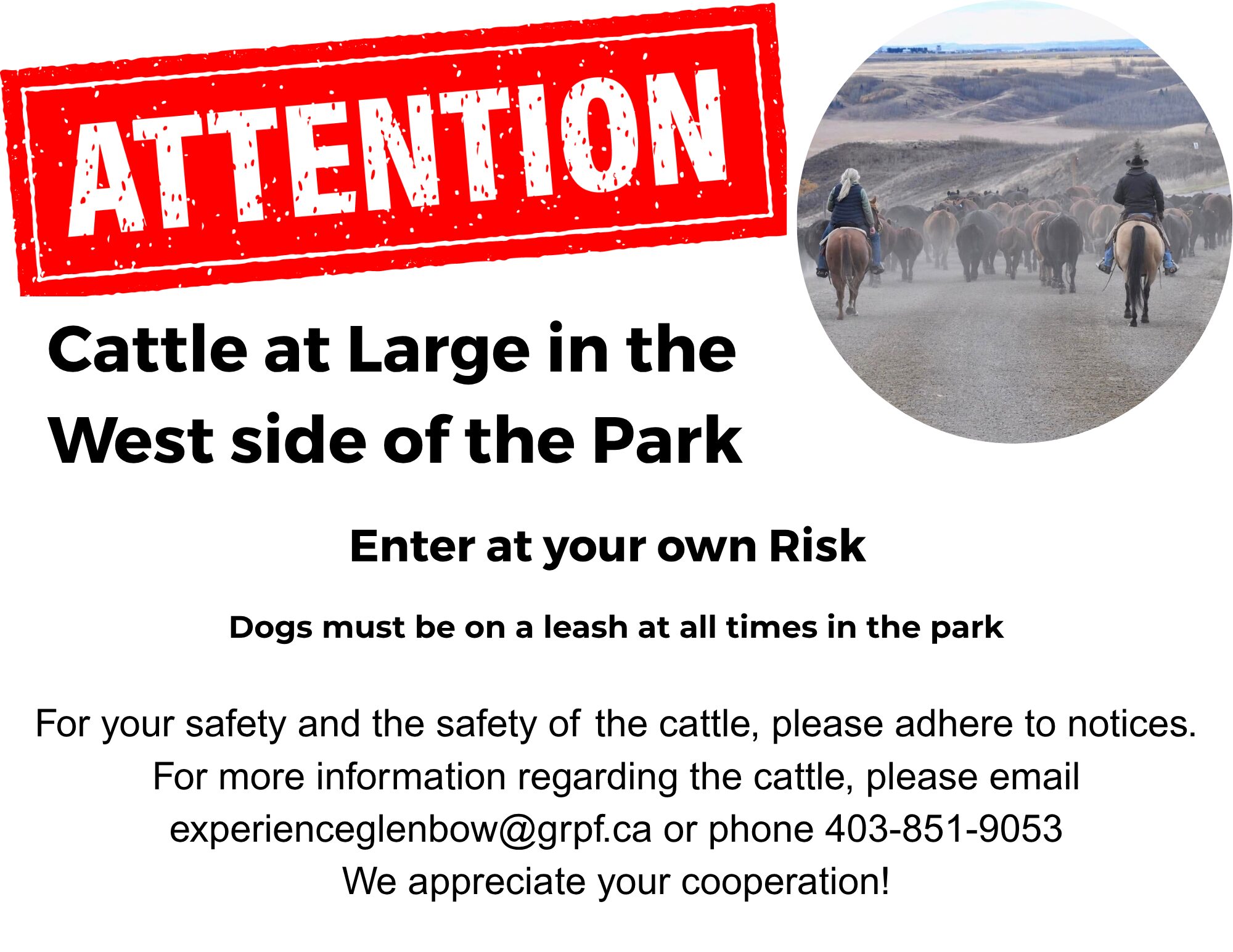 Trail Update | Glenbow Ranch Park Foundation